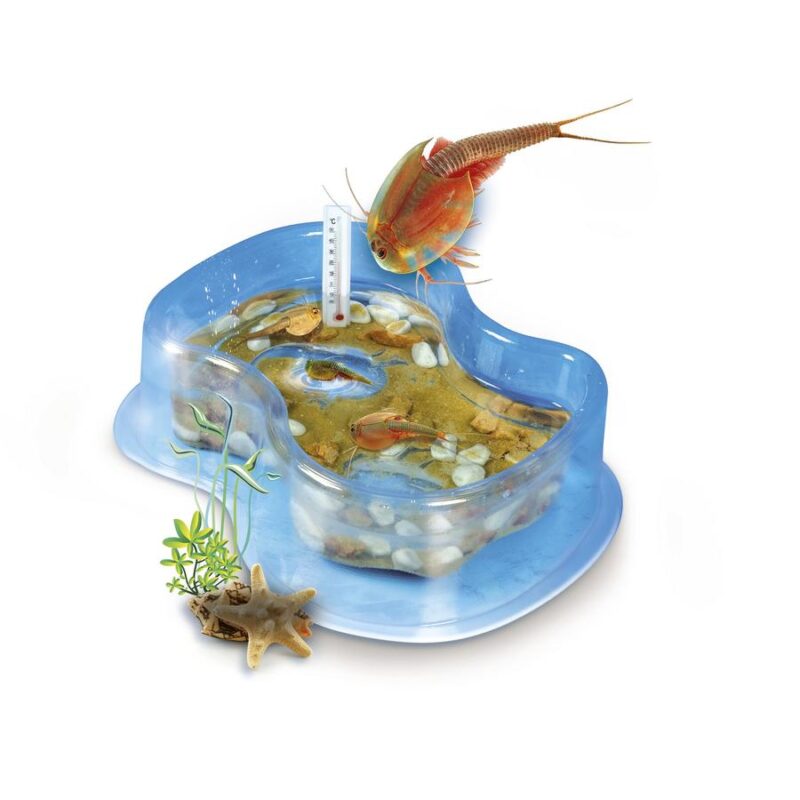 Triops Starter-Set | ALS-Verlag